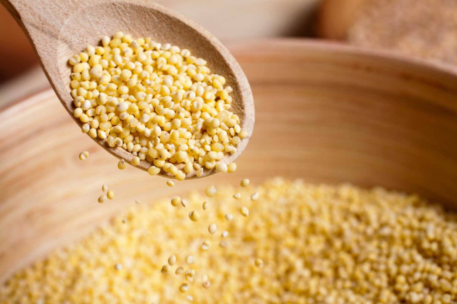 India expands millet exports through trade fairs and global outreach ...